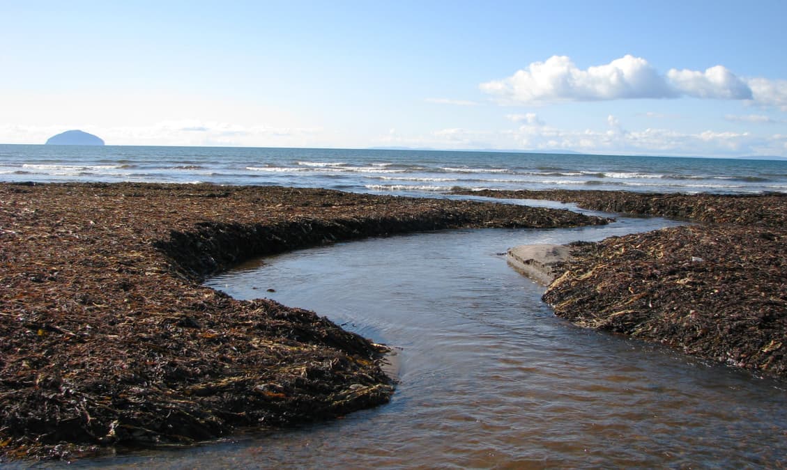 15 Beaches Near Glasgow To Visit For A Pleasant Day-Out