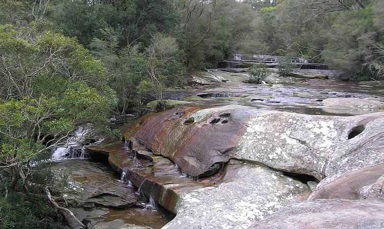 10 Waterfalls In Sydney | Explore The Scenic Beauty Of Nature!