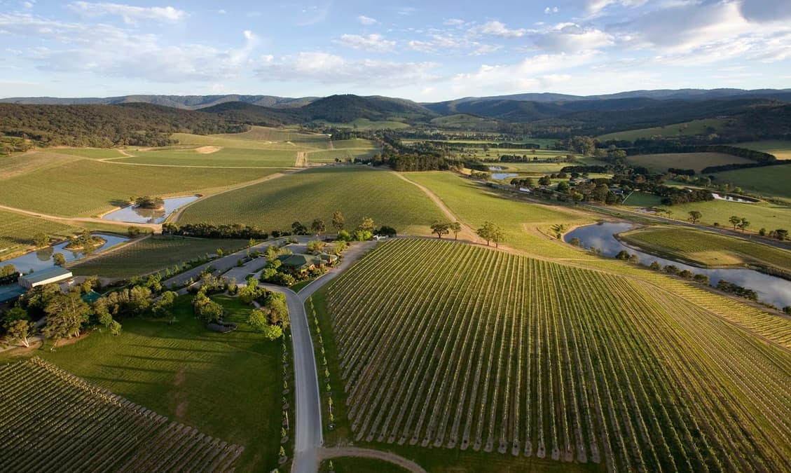 10 Vineyards in Australia Every Wine Lover Must Visit in 2026