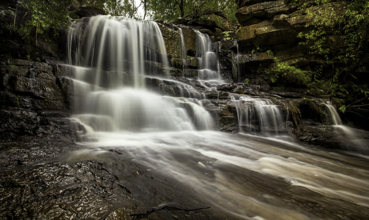 10 Waterfalls In Sydney | Explore The Scenic Beauty Of Nature!