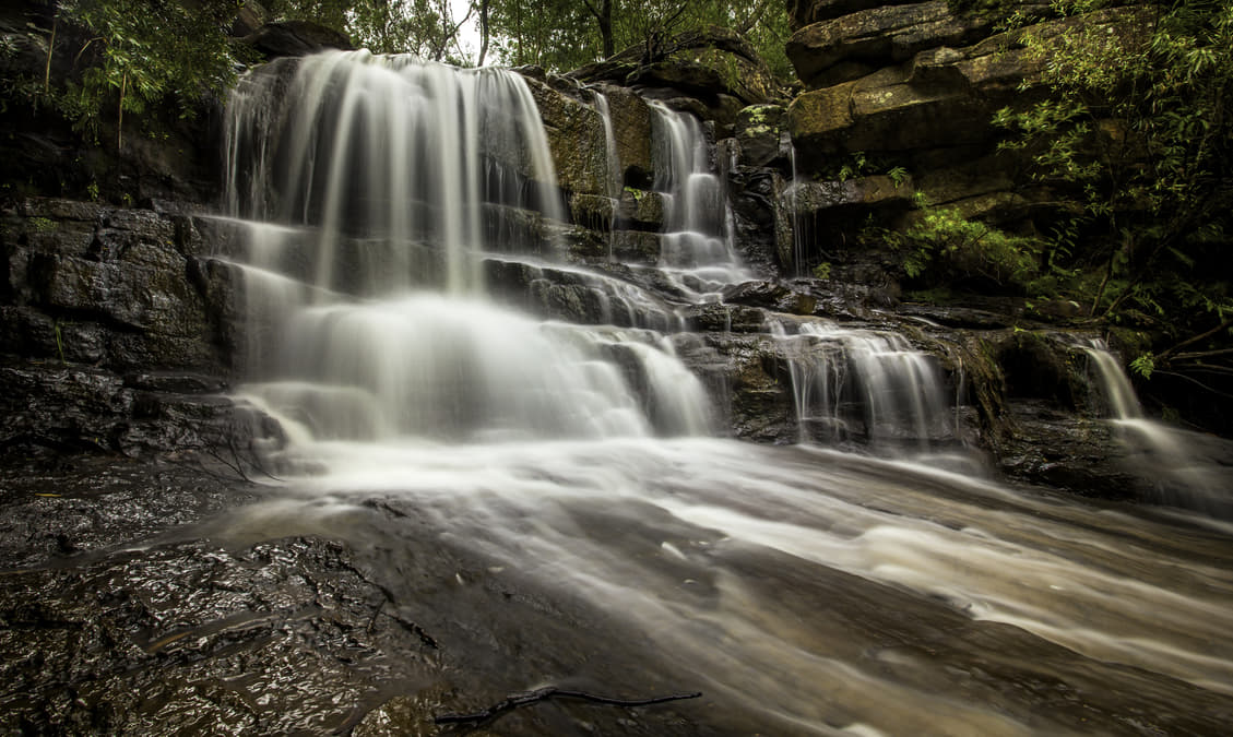 10 Waterfalls In Sydney | Explore The Scenic Beauty Of Nature!