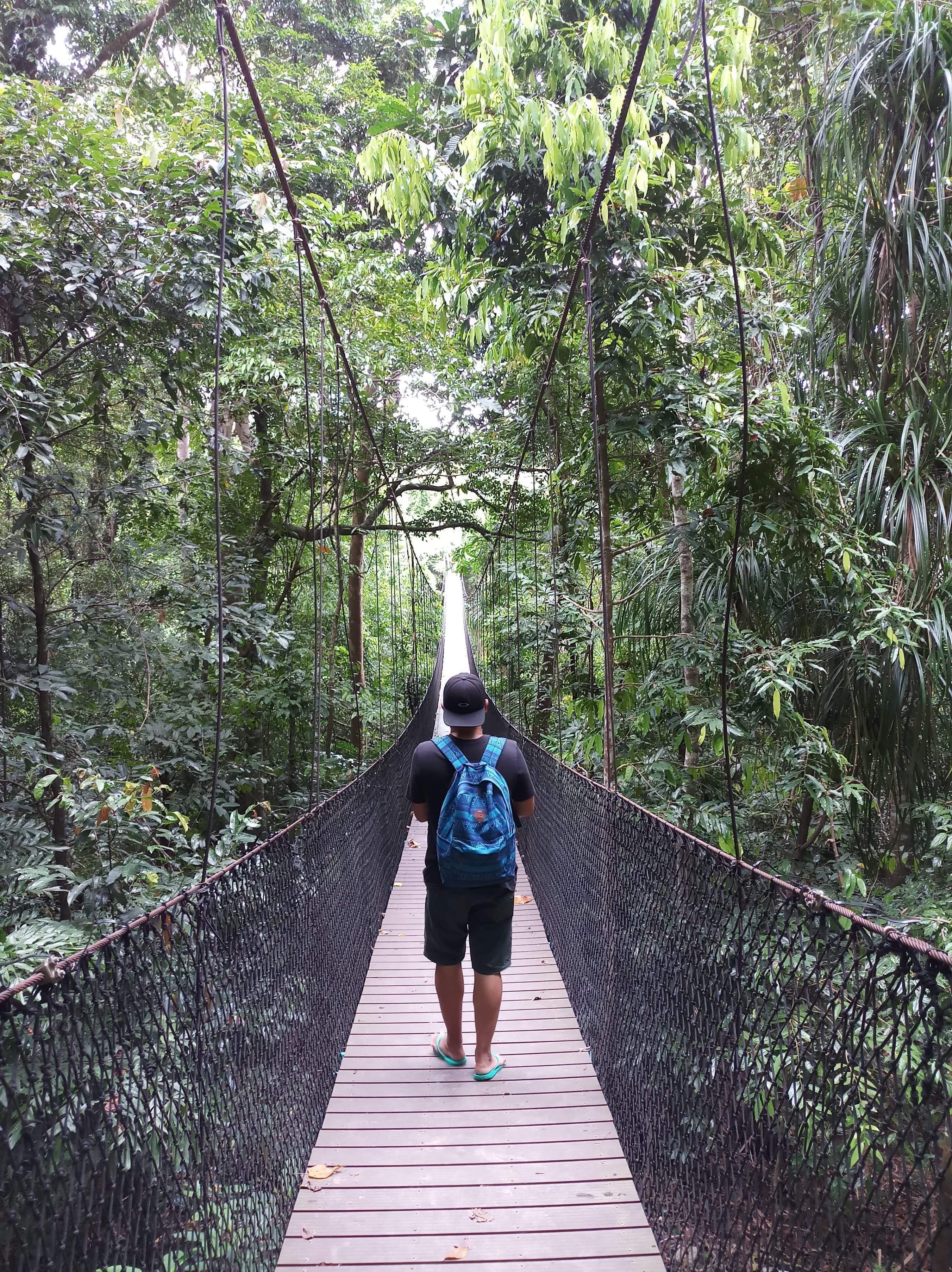 10 Gold Coast Hiking Trails That You Should Definitely Go For