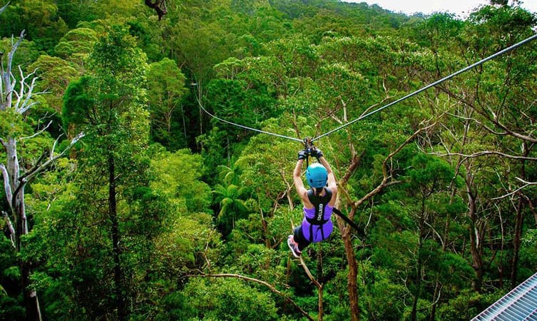 10 Things To Do In Mount Tamborine One Must Try!