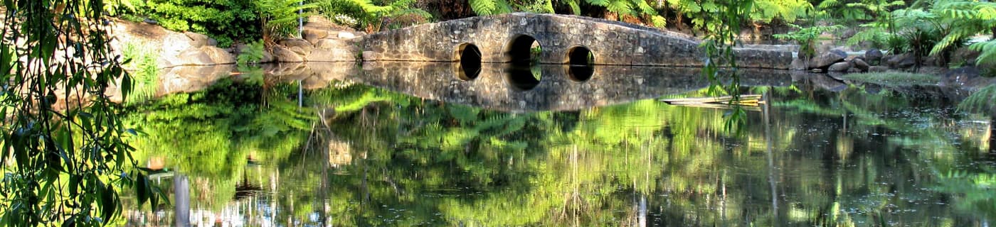 10 Things To Do In Mount Tamborine One Must Try!