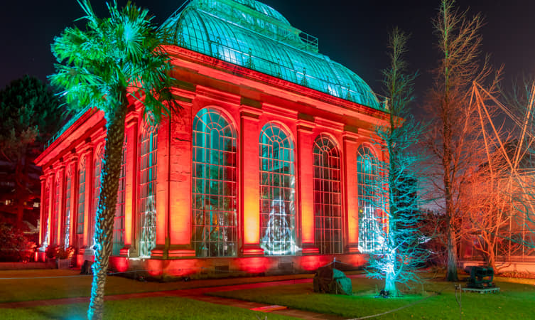 10 Things to Do in Edinburgh in November For A Fun Expedition