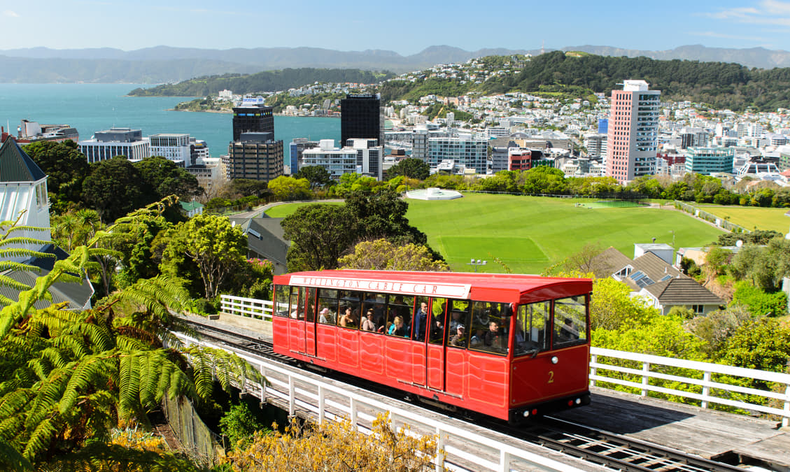 15 Things To Do In Wellington This Weekend That You Can't Miss