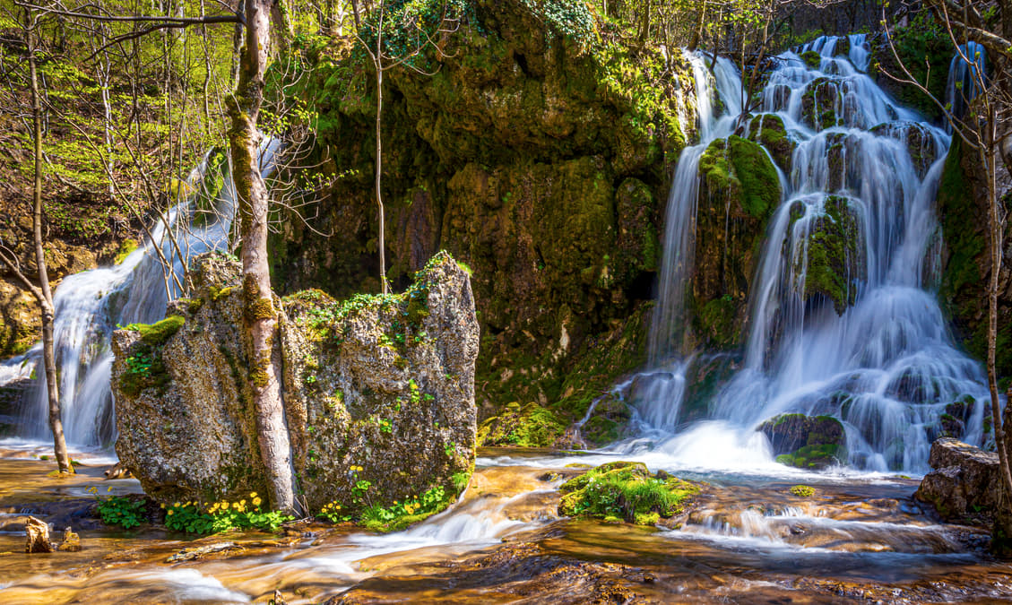 10 National Parks in Romania For A Perfect Wildlife Trip!
