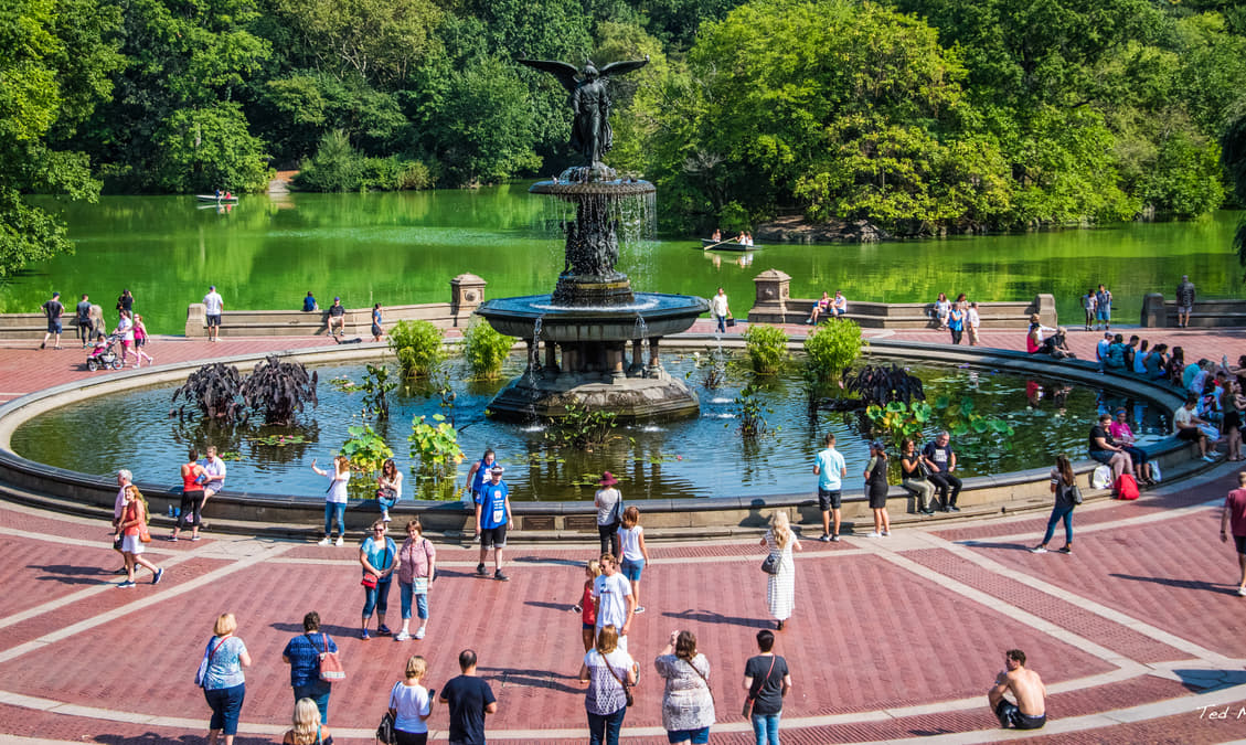 15 Things to Do in New York with Kids | Get Upto 35% Off