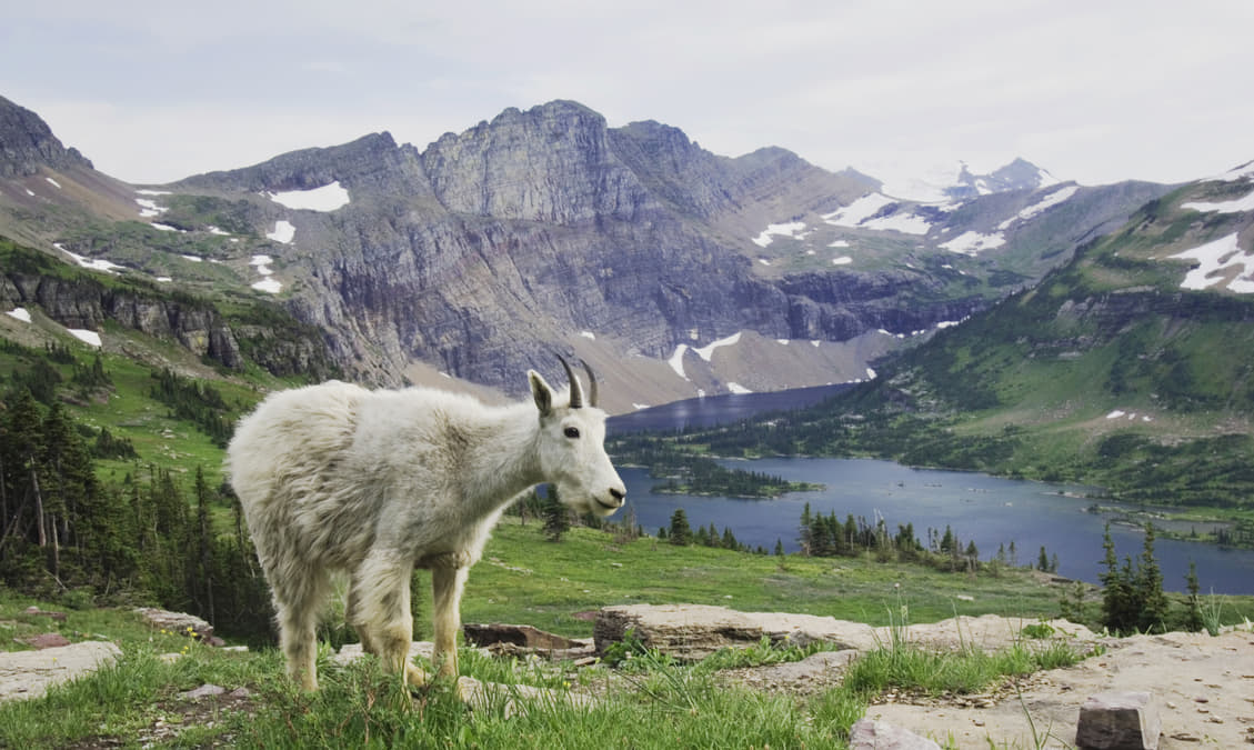 20 Best National Parks in the USA That Are Worth Taking A Trip To!