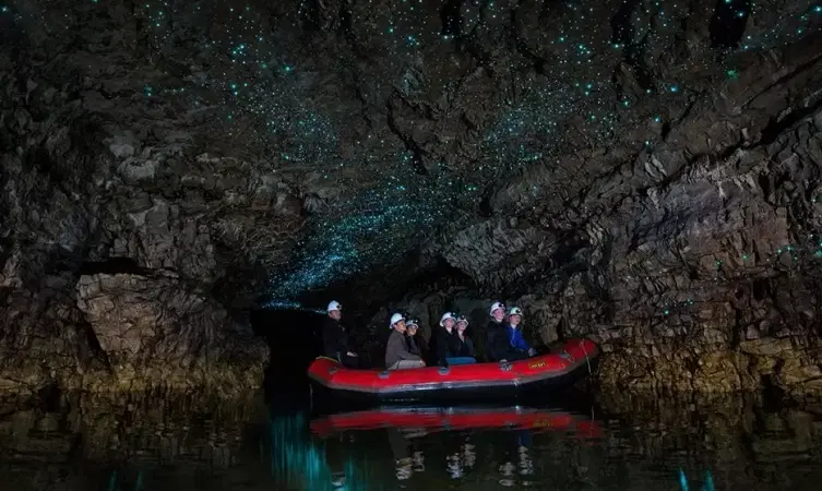10 Glow Worm Caves In New Zealand For Magical Experience!