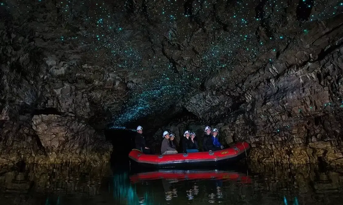 10 Glow Worm Caves In New Zealand For Magical Experience!