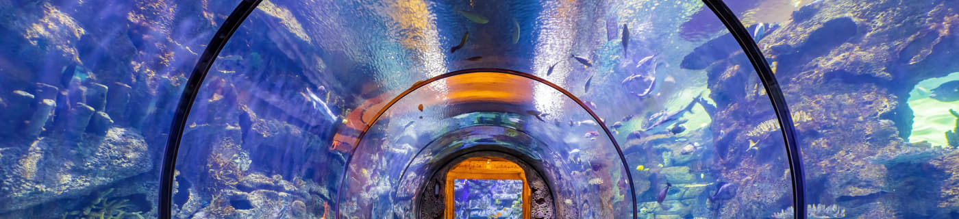 10 Zoos and Aquariums in Las Vegas That You Must Checkout!