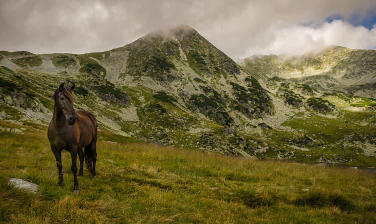 10 National Parks in Romania For A Perfect Wildlife Trip!