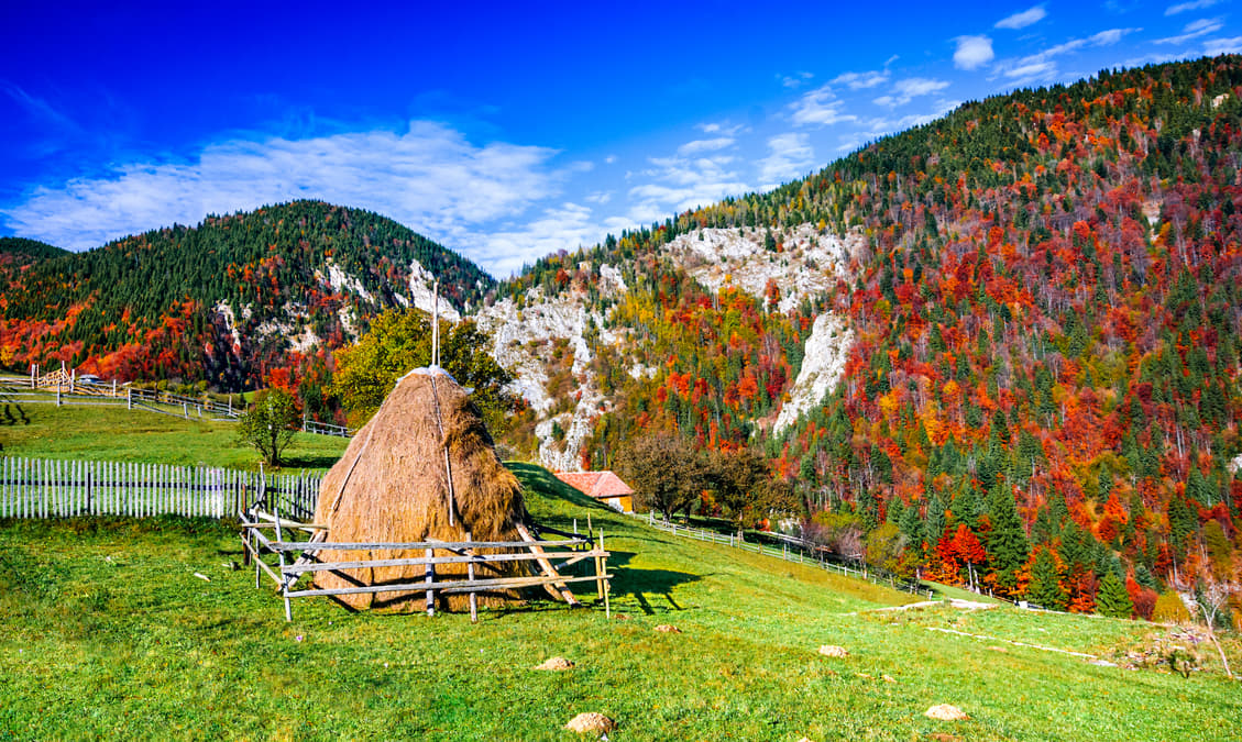 10 National Parks in Romania For A Perfect Wildlife Trip!