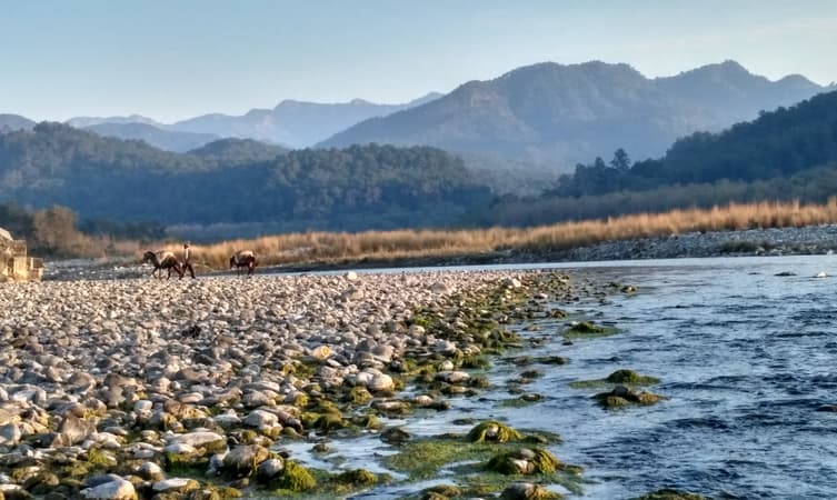 10 Most Famous Rivers in Uttarakhand to Visit in 2025