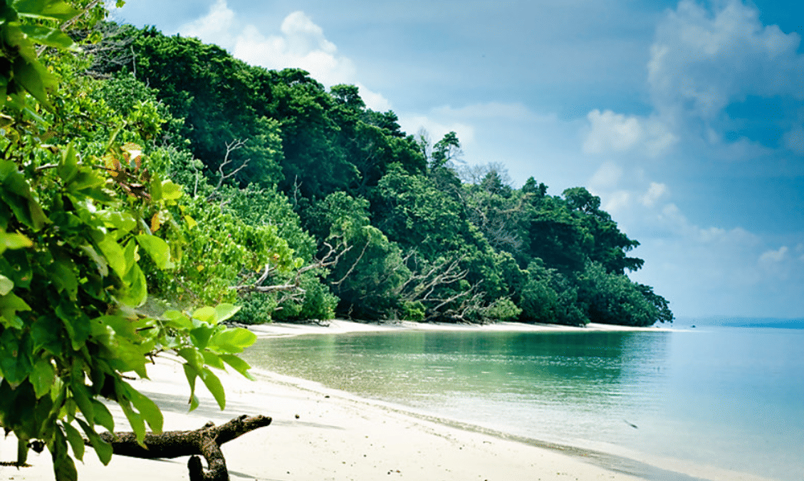 Andaman in May | How to Reach, Weather, Tips and More!