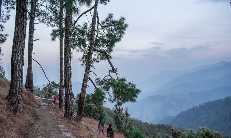 10 Things to Do in Binsar in Winter For A Fun Expedition