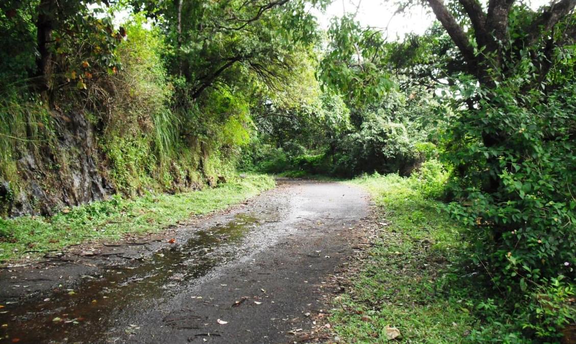 10 Best places to visit in Thodupuzha in 2025