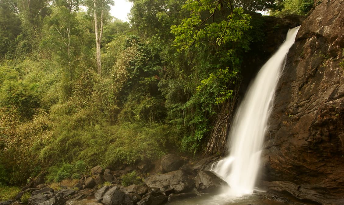 10 Best Things to Do in Kalpetta For a Fun Filled Trip