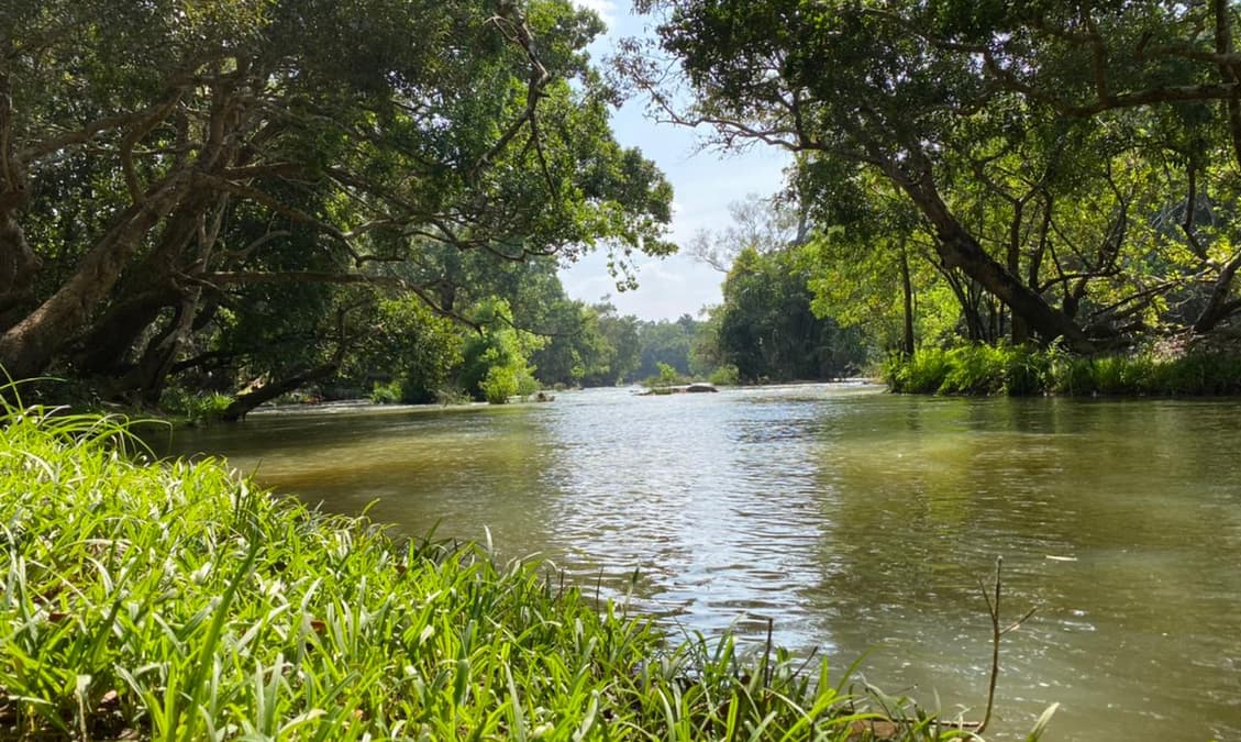 10 Best Things to Do in Kalpetta For a Fun Filled Trip