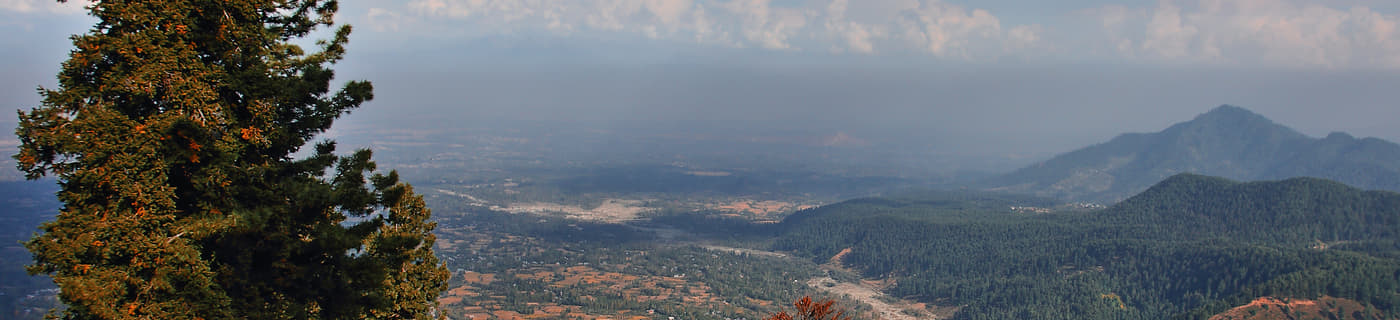 Gulmarg in May: Weather, How to Reach & Places to Visit