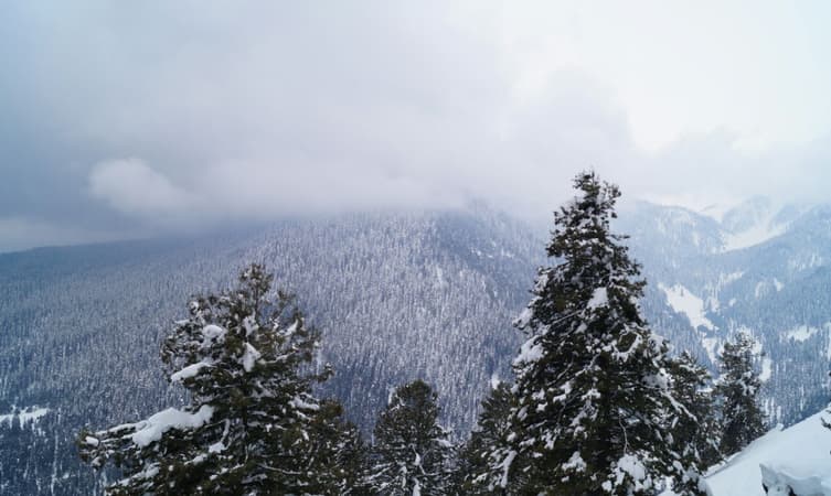 Gulmarg in Winter: Weather, How to Reach & Things to Do