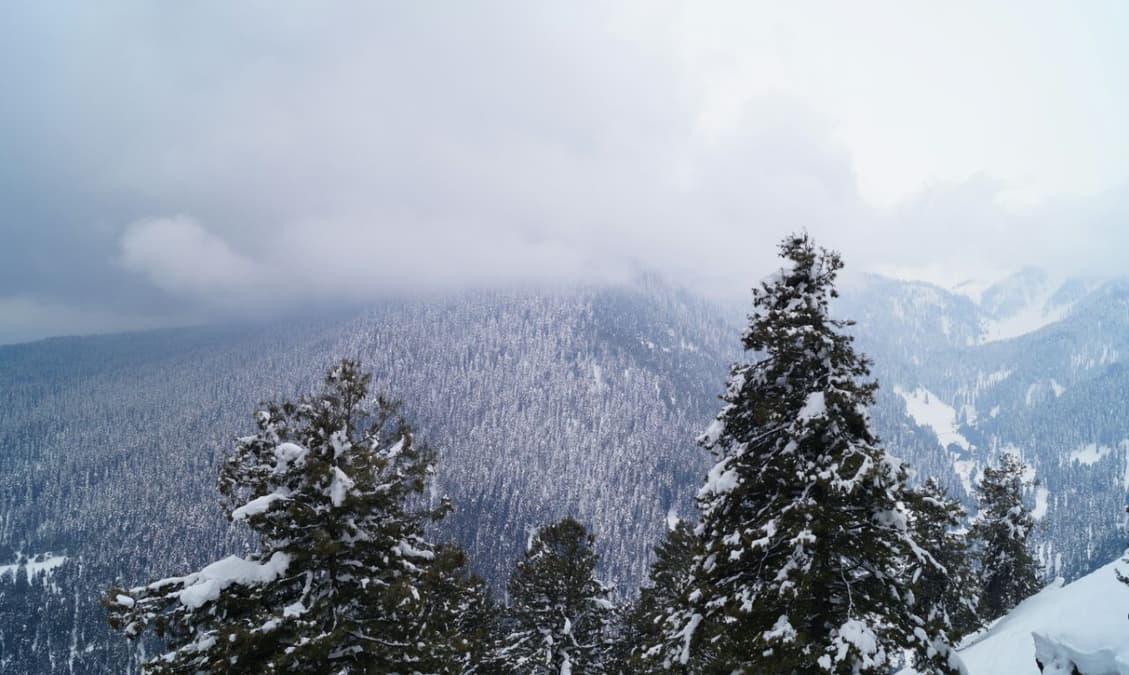 Gulmarg in Winter: Weather, How to Reach & Things to Do