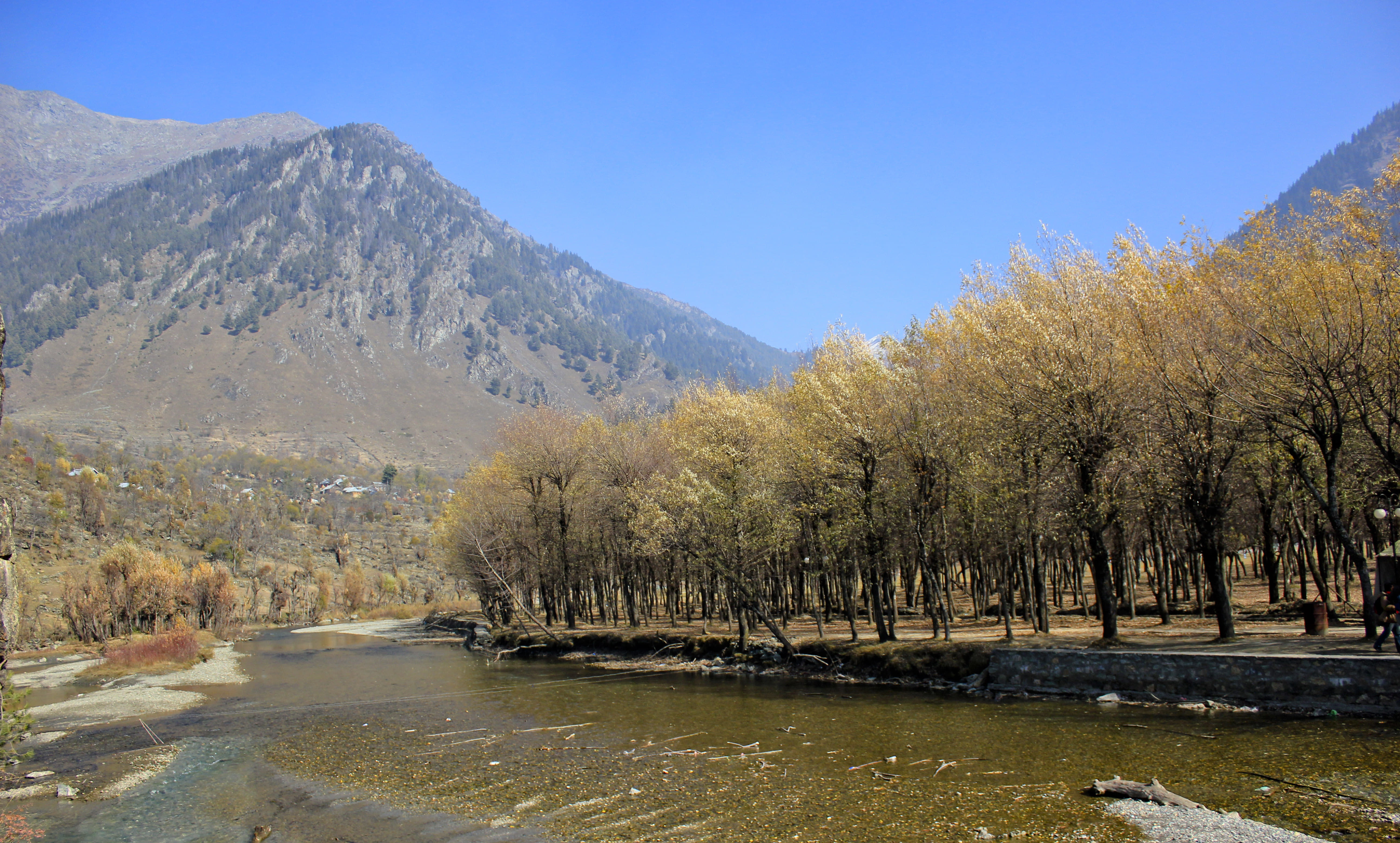 10 Things to Do in Pahalgam in Summer for a Peaceful Getaway
