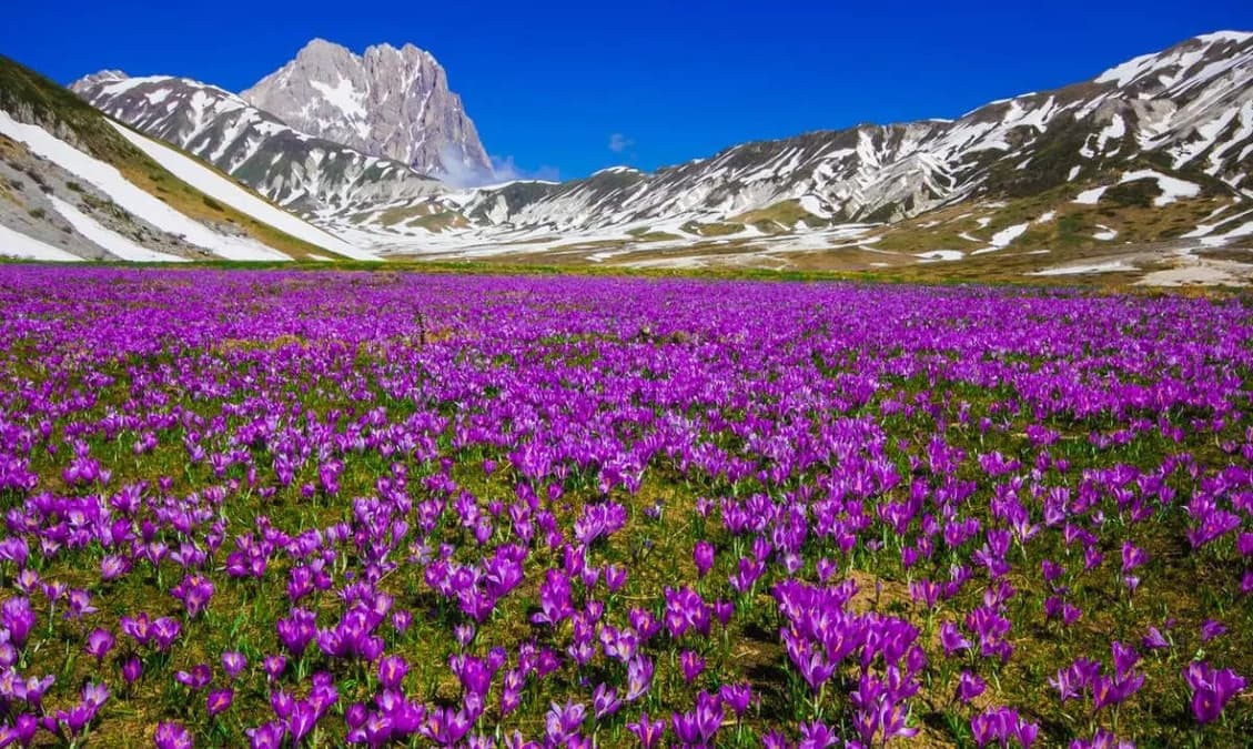 10 Places to Visit in Pulwama for an Unforgettable Experience