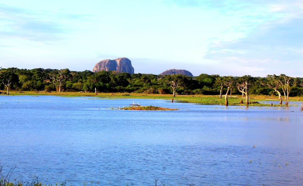 10 Places to Visit in Yala, Tourist Places & Top Attractions