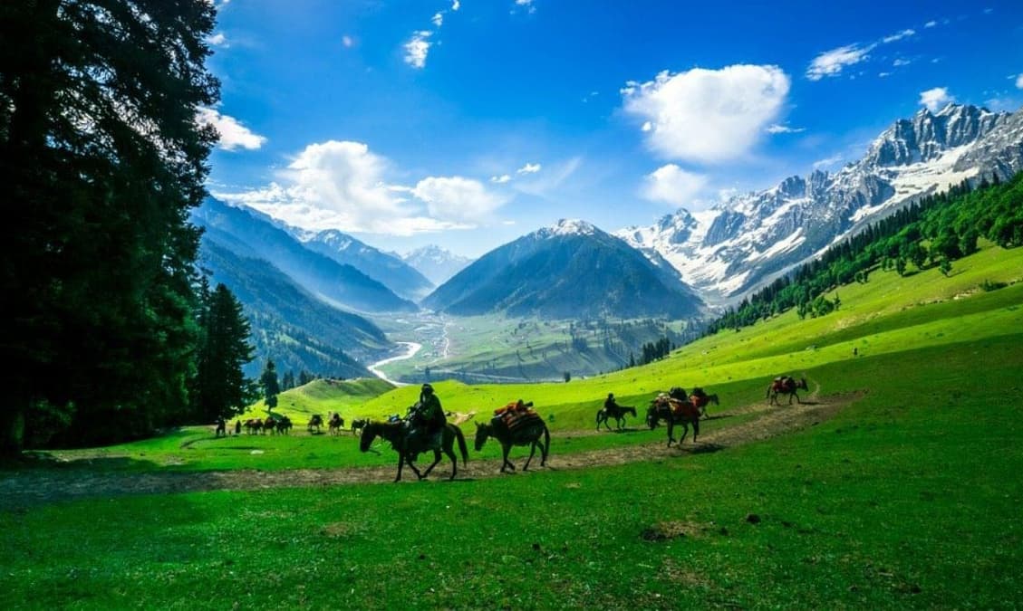 Gulmarg in April: Weather, What to Pack & Things to do