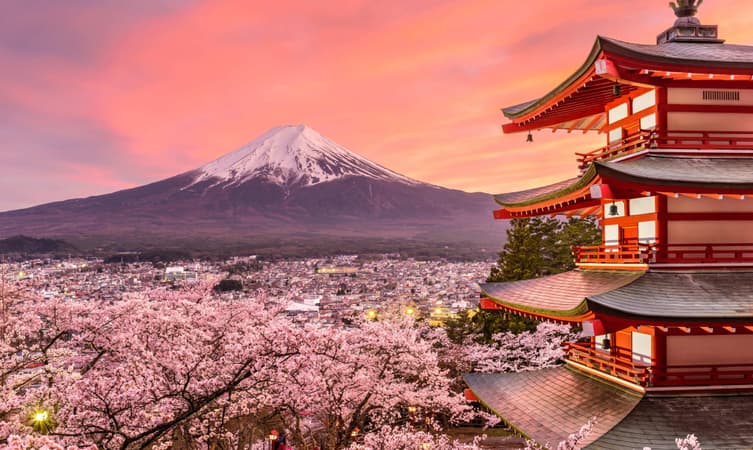 Spring in Japan 2026: Your Ultimate Guide to Cherry Blossoms