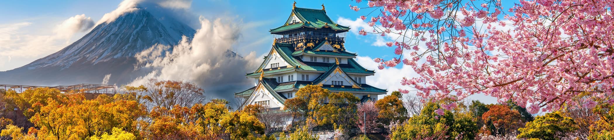 Spring in Japan 2025: Your Ultimate Guide to Cherry Blossoms
