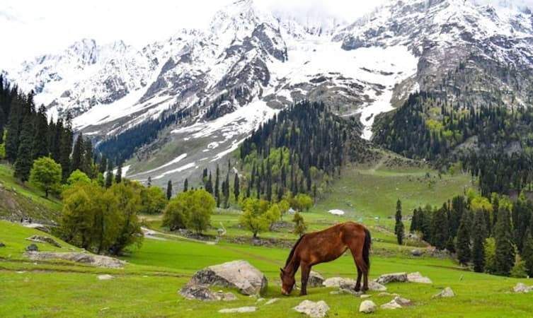 Pahalgam in April | Weather, What to Pack & Activities to Do!