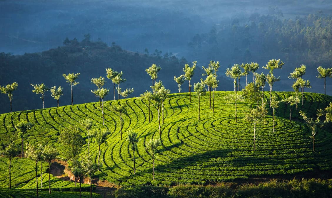 20 Places To Visit In June In South India For A Summer Escape 2026