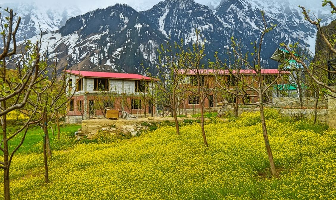 Manali in Summer | Weather, Activities to Do & Places to Visit!