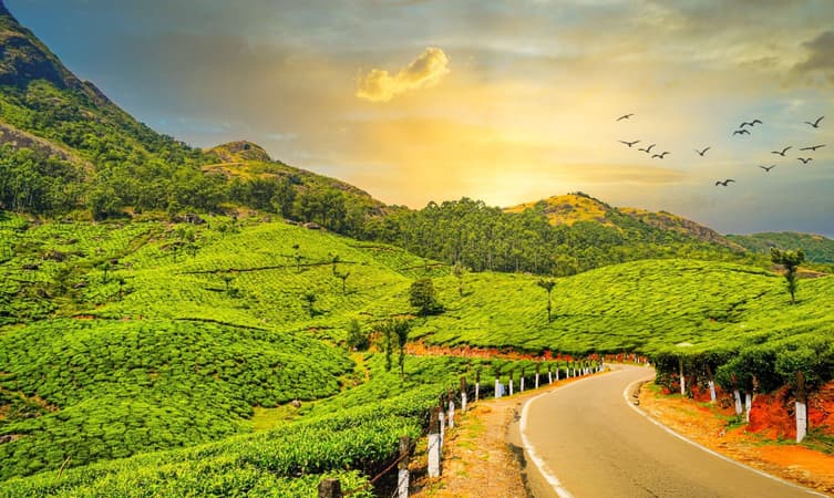 Kerala in June: Best Places to Visit, Things to Do & Festivals!