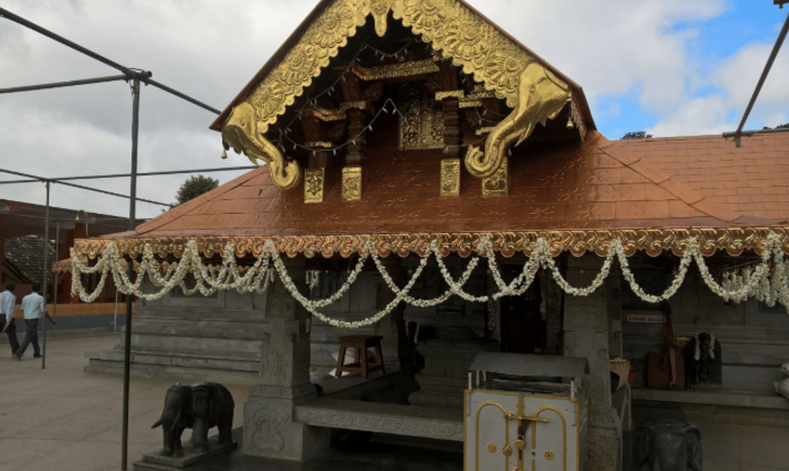 Coorg in June 2025: Best Places, Things to Do & Weather Guide