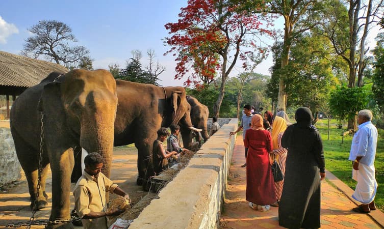 Coorg in June 2025: Best Places, Things to Do & Weather Guide