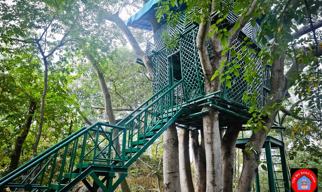 15 Places to Visit Near Bannerghatta Within 100 KM in 2026