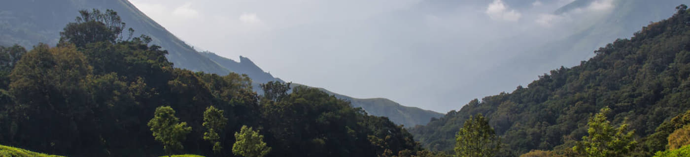 10 Things to Know Before Visiting Munnar in Winter