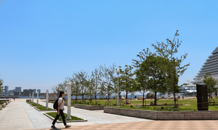 Top 10 Things to Do in Kobe: With Timings, Entry Fees & Tips
