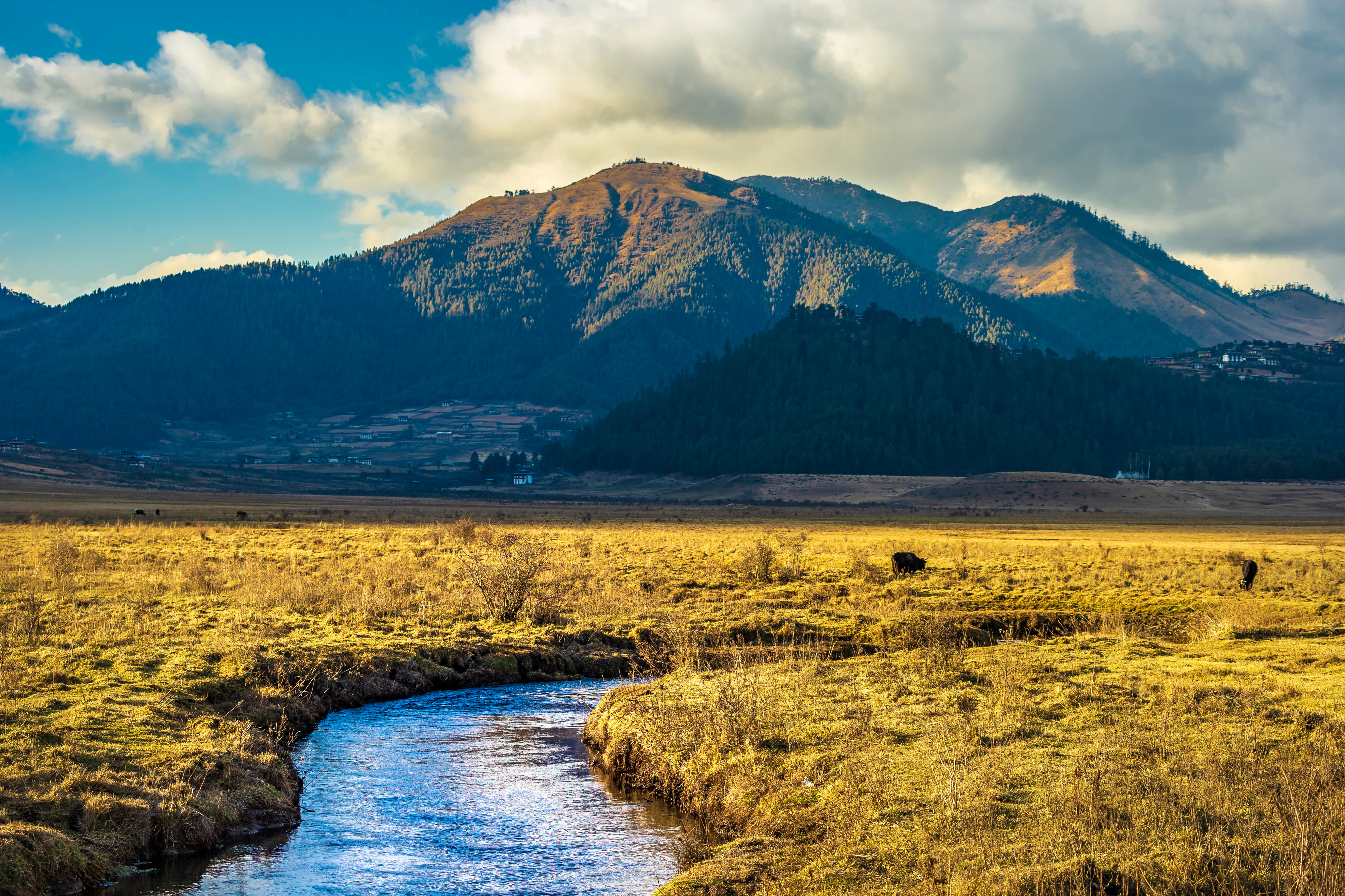 15 Must-Visit Photography Spots in Bhutan | Insta-Worthy Places